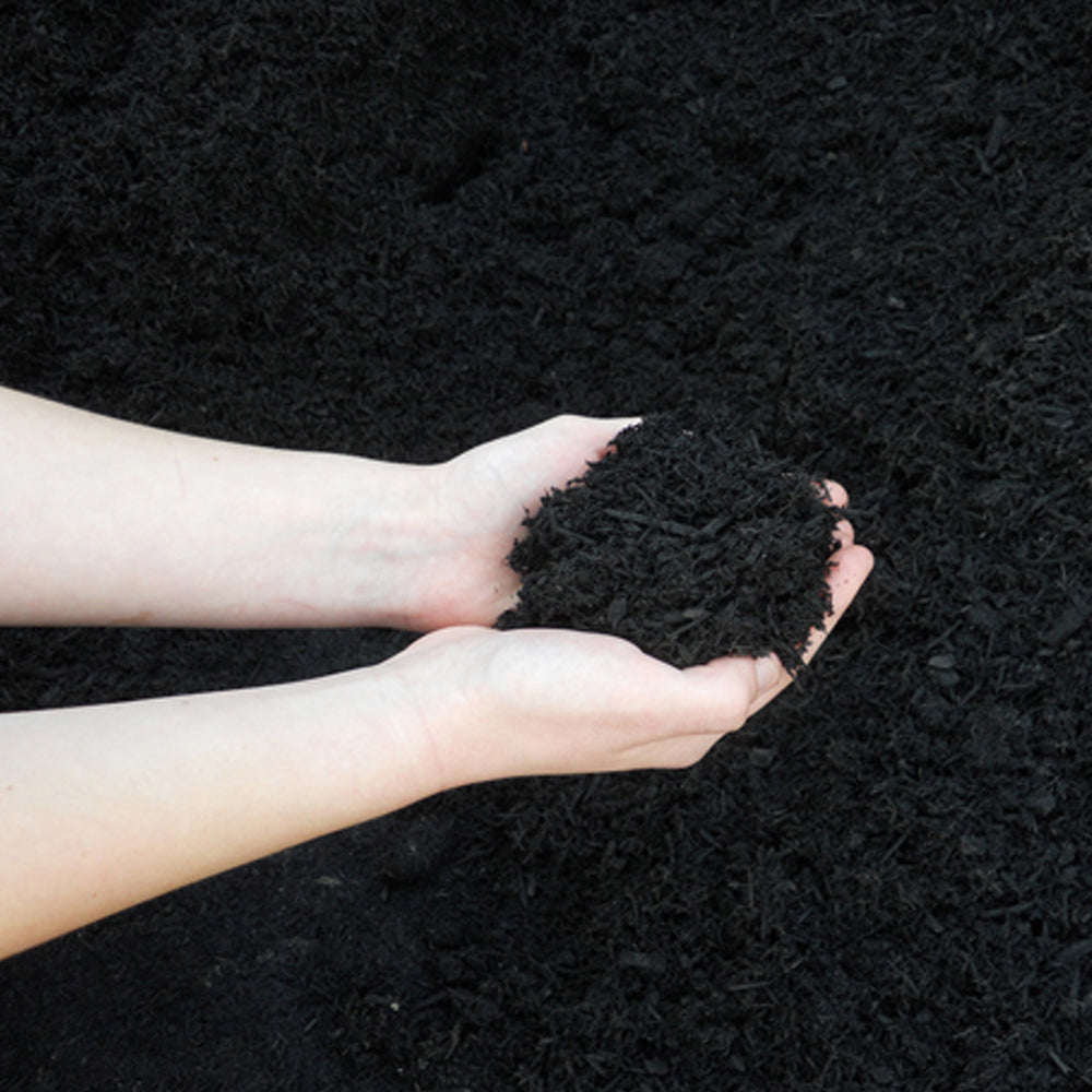 Dyed Mulch: What you need to know – The Rock Pile